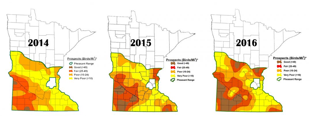MN DNR Releases 2016 Roadside Survey Report | Minnesota Pheasants, Inc.